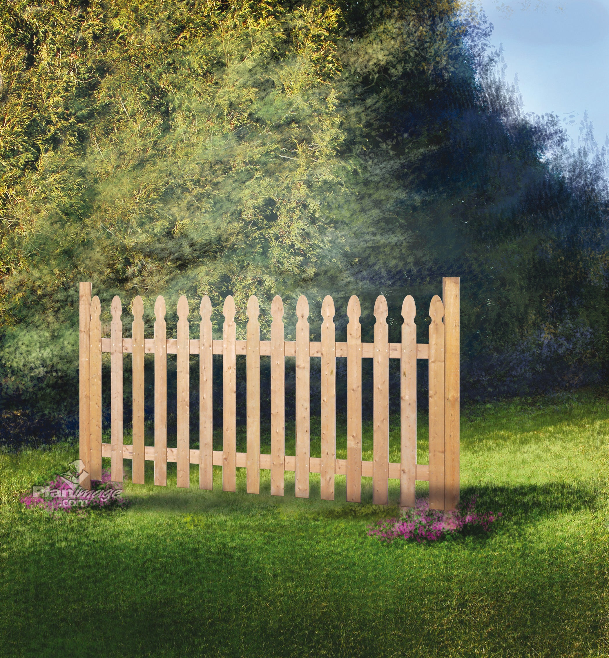 BT-3016 – Planimage